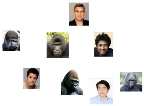 Bacterial Species Concept Explained Ezbiocloud Help Center