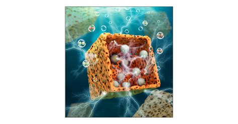 Mixed Metal Phosphide Chainmail Catalysts Confined In N Doped Porous Carbon Nanoboxes As Highly