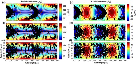 D Simulation Results Of RBC Motion Under Sinusoidal Pulsatile Flow