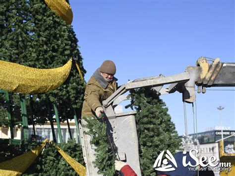 ФОТО Төв талбайд Гацуур мод ыг засаж эхэллээ Isee Mn