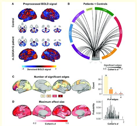 Characterization Of Cerebello Cortical Functional Connectivity A Download Scientific Diagram