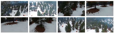 Remote Sensing Free Full Text Weakly Supervised Forest Fire Segmentation In Uav Imagery