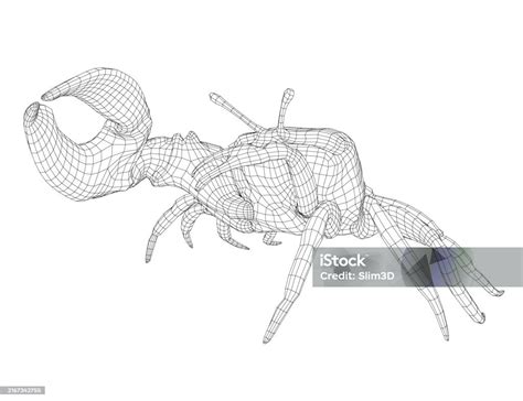 흰색 배경에 고립 된 검은 선으로 만든 하나의 거대한 발톱을 가진 게의 와이어 프레임 가정의 방에 대한 스톡 벡터 아트 및 기타 이미지 가정의 방 갈고리 발톱 개념