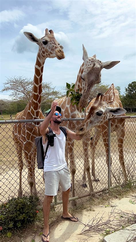 Спомени от Филипини Panic Frame And Travel