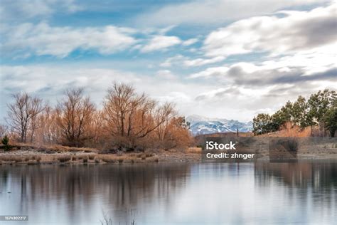 푸카키 호수 동쪽 강둑의 아름다운 일출 전망 매혹적인 청록색 색조 0명에 대한 스톡 사진 및 기타 이미지 0명 경관 고요한 장면 Istock