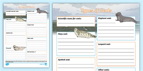 Types Of Seals Fact File Template Twinkl