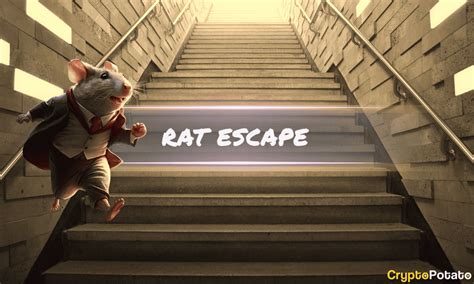 Viral Meme Coin Rat Escape Rat Launches With 1 000 Holders In Days