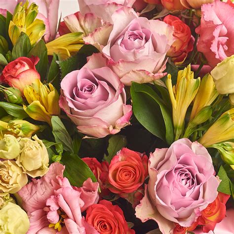 Букет 626 - доставка букетів на замовлення | Dicentra