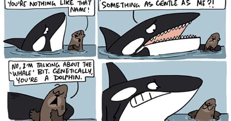 Green Humour Killer Whale