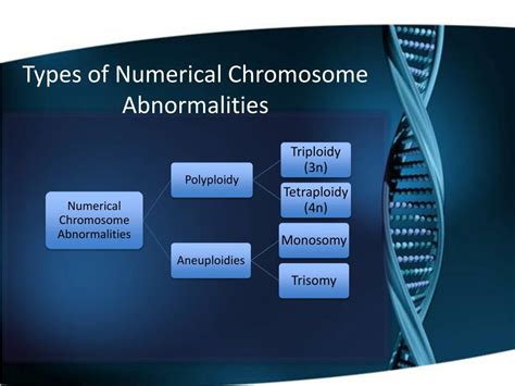 Ppt Numerical Chromosome Abnormalities Powerpoint Presentation Free