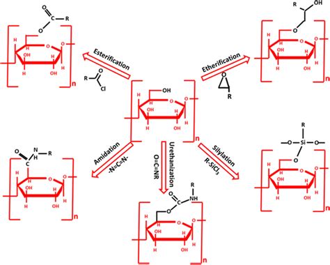 Chemical Modification Of Nanocellulose With Hydrophobic Surfaces