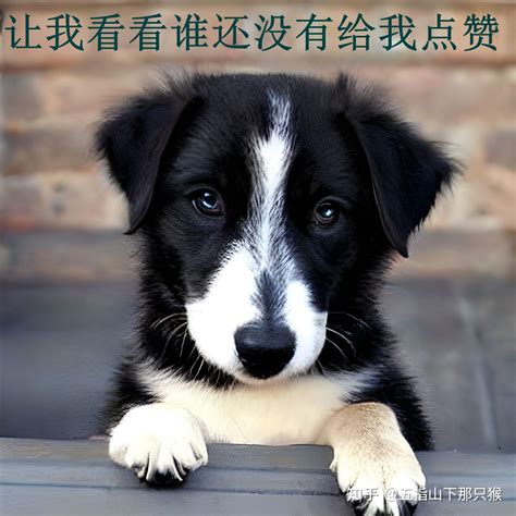 Python 编程的装饰器怎么迭代？ 知乎