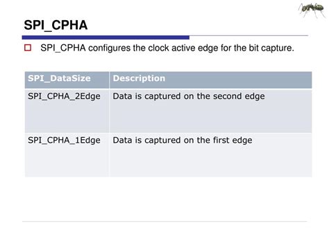 Ppt Sioc 實驗 8 ： Spi Powerpoint Presentation Free Download Id 2017053