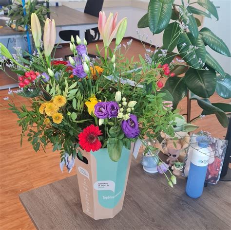 Melis A On Linkedin 🌸 Im Celebrating My First Anniversary With Oxipack Leak Detection Team …