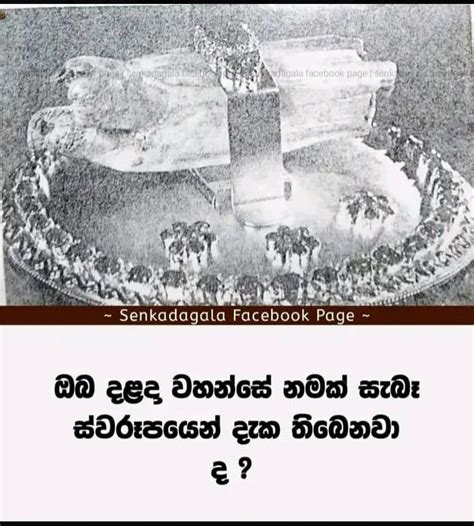 Isuru D බොහෝම දෙනෙක් බුදුරජාණන් වහන්සේගේ ශ්‍රී දන්ත ධාතූන් වහන්සේ