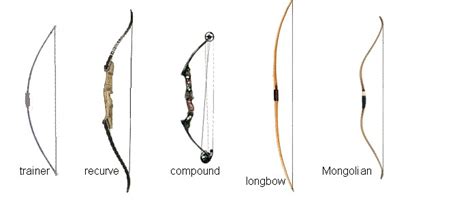 16 Different Types Of Archery Carefully Explained For Beginners