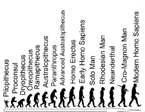 6 Schematic Diagram Of Evolution Of Modern Man Download Scientific Diagram