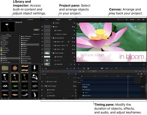Pros And Cons The Best After Effects Alternatives
