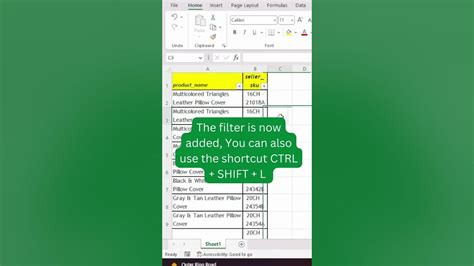 Learn How To Add A Filter In Excel Exceltutorialforbeginners Excel Exceltips