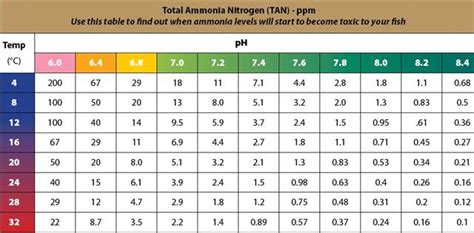 Aquaponics Health Understanding Ammonia Water Temperature And PH Balance Ecofilms