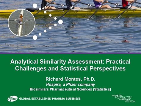 Analytical Similarity Assessment Practical Challenges And Statistical Perspectives