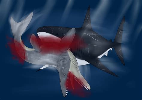 Megalodon Deadly Kill By Nature1029 On Deviantart