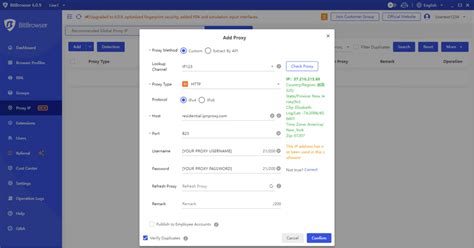 proxy integration with bitbrowser step by step guide ipnproxy