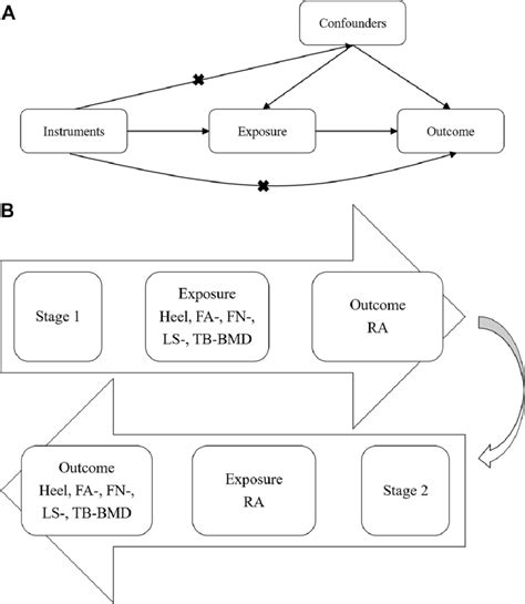 Workflow Of Bi Directional Mr Analysis A The Fundamental Idea Of Mr