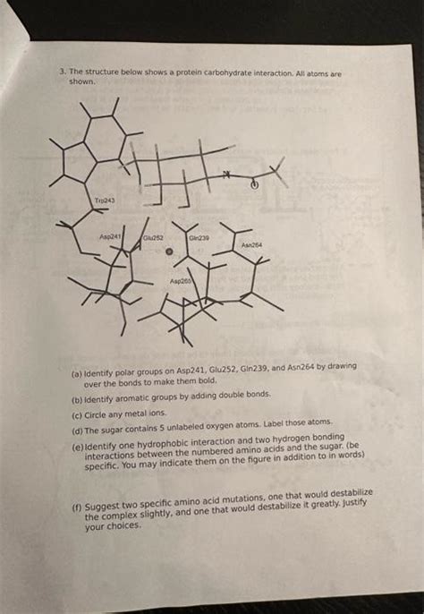 Solved 3 The Structure Below Shows A Protein Carbohydrate