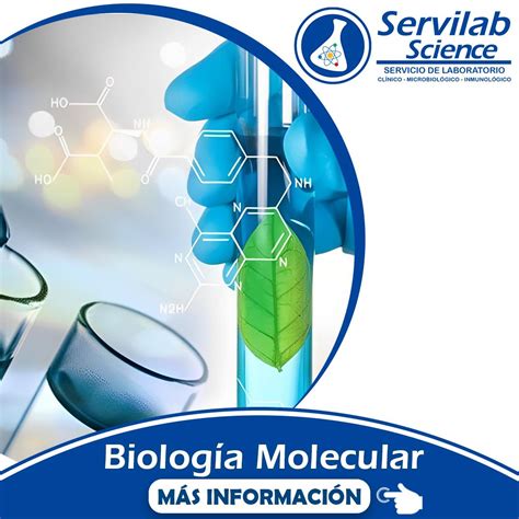 Servicios Servilab By Servilab Science Issuu