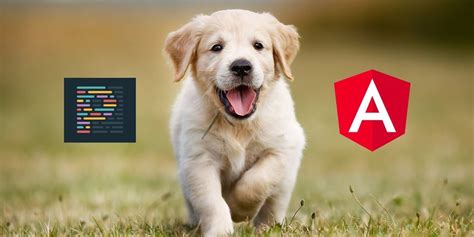 Husky Hooks In Angular 🐶 Dev Community