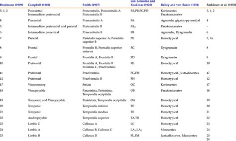 Comparison Of Various Classification Schemes Of The Human Cerebral Download Table