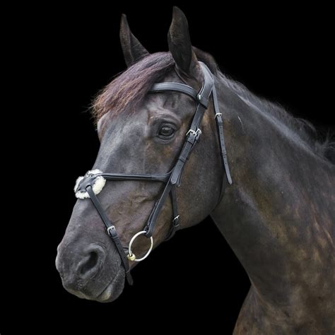 Ecorider Freedom Grackle Noseband Black