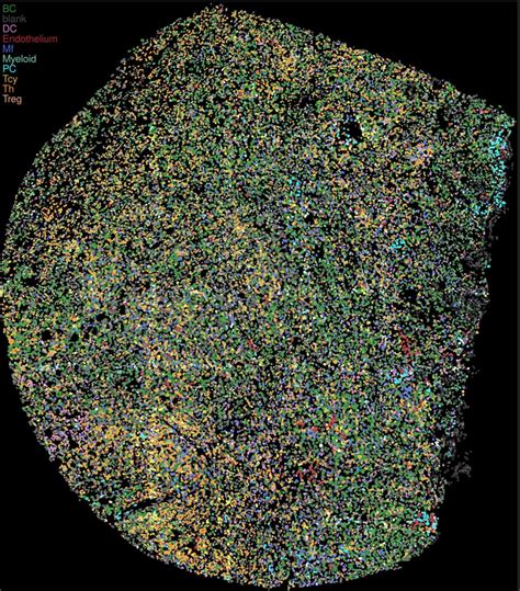 Multiplexed Staining Techniques In The Fight Against Complex Diseases