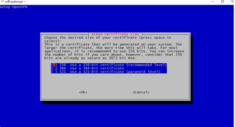 使用openvpn将树莓派0变成vpn服务器 树莓派 2025