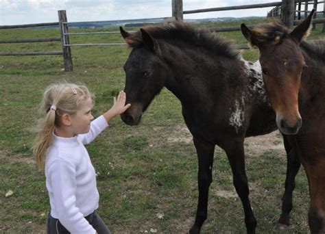 Děti A Koně Fotogalerie Appaloosa Ranč Lažínky