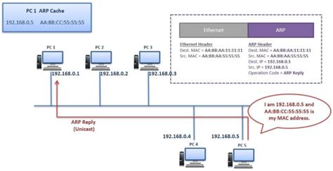 ARP Protocol Overview What Is ARP ARP Process Header