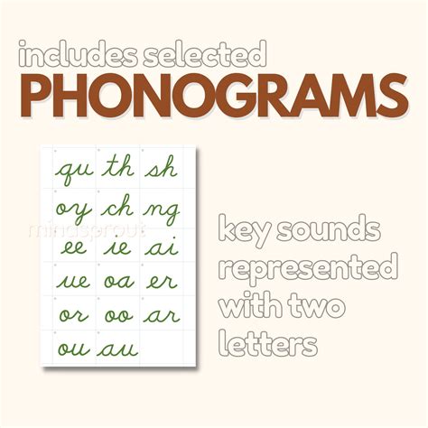 cursive small movable alphabet letter montessori language material