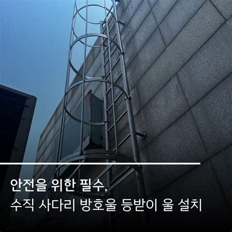 수직 사다리 방호울 설치 기준 고정식 사다리 등받이 울 설치 전문 업체 빌딩 공장 등 네이버 블로그