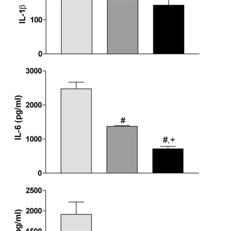 Cytokine Secretion Following Lps Stimulation Mouse Cerebral Primary Download Scientific