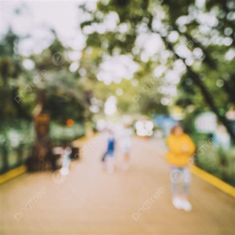 Tropical Summer Park Blur Bokeh Outdoor Background Tropical Summer Park Photo And Picture For