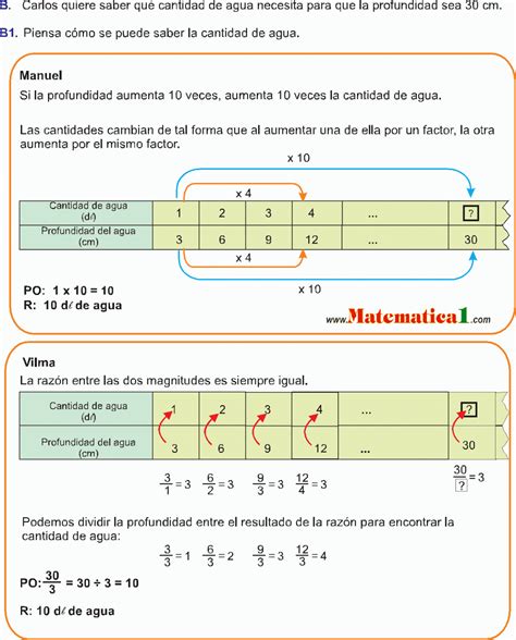 Numerador Y Denominador Guía Completa Para Comprenderlos