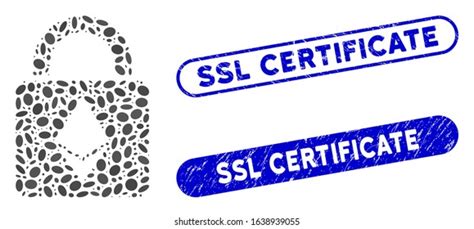 Ssl Sertificate Images Stock Photos Vectors Shutterstock