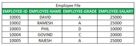 Cobol File Handling Cobol Tutorial