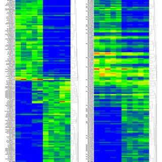 Hierarchical Clustering Of The Differentially Expressed LncRNAs And