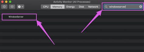Best Fixes For Copy And Paste Not Working On Mac