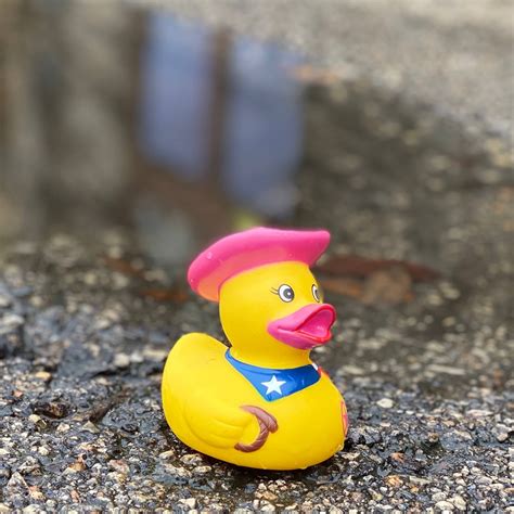 Rubber Ducky The Daytripper