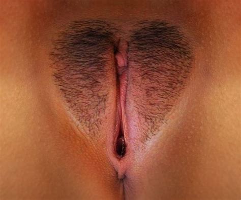 Hearting Some Pussy Homemadejunkie