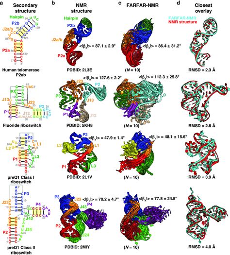 Initial Ensembles Of Various Rna A The Rna Secondary Structure For Download Scientific Diagram
