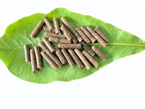 Biomass Pellet For Burning At ₹ 10000tonne In Bhilai Id 2853917051430